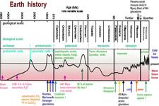 From Molecules to Organisms: Structures and Processes | High School ...